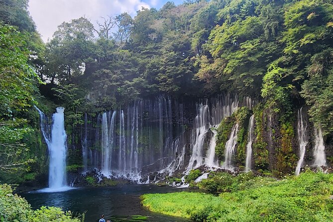 Mt Fuji Day Tour by Car With English Speaking Driver - Accessibility and Policies