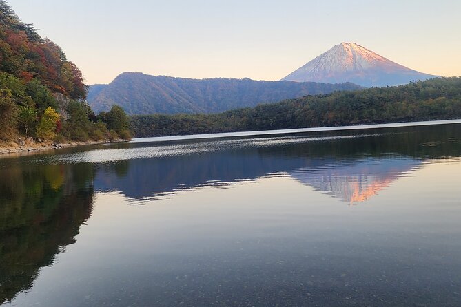 Mt Fuji Day Tour by Car With English Speaking Driver - Visiting Oishi Park