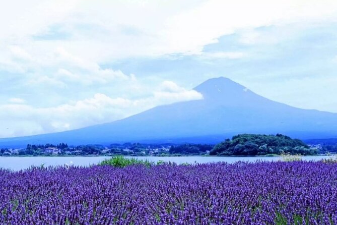 Mt. Fuji Day Tour From Shinjuku in Tokyo Japan - Itinerary and Schedule