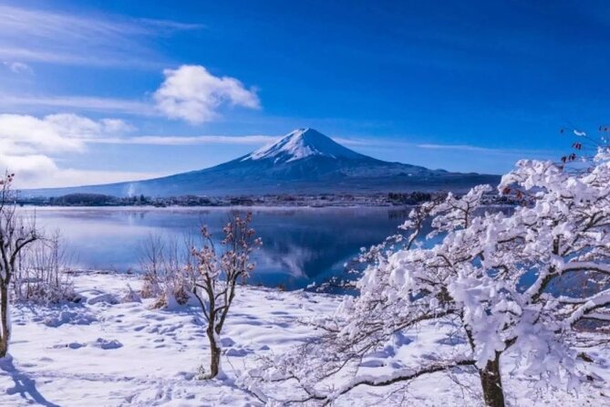 Mt. Fuji Day Tour From Shinjuku in Tokyo Japan - Accessibility and Requirements