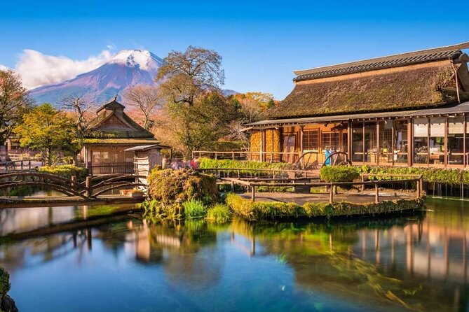 Mt. Fuji Day Tour From Shinjuku in Tokyo Japan - Transportation and Meeting Point