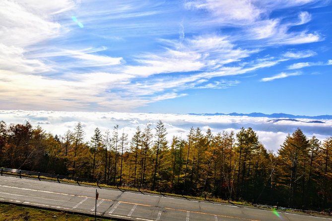 Mt Fuji Day Trip From Tokyo by Car With Photographer Guide - Meeting Points and Start Time