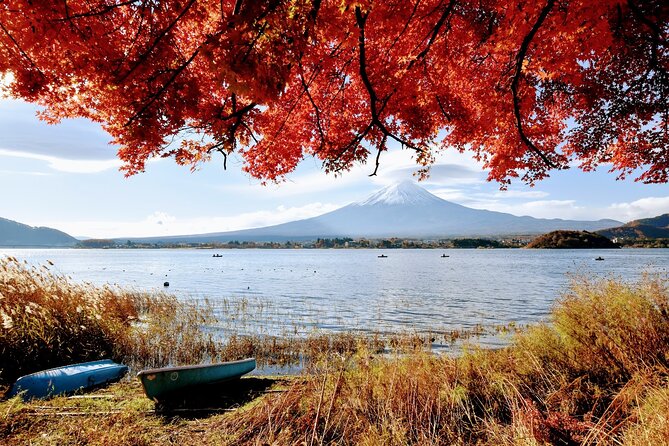 Mt Fuji Day Trip From Tokyo by Car With Photographer Guide - Accessibility and Physical Fitness