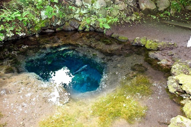 Mt Fuji Day Trip From Tokyo by Car With Photographer Guide - Highlights of the Fuji Five Lakes