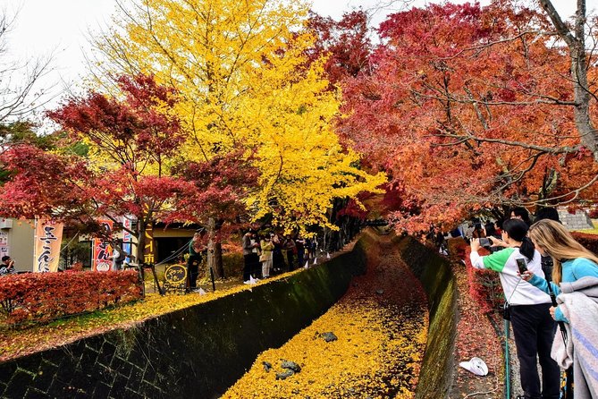 Mt Fuji Day Trip From Tokyo by Car With Photographer Guide - Exploring the Oshino Eight Ponds