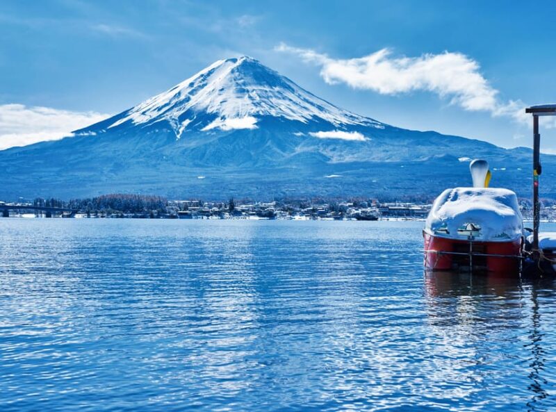 Mt. Fuji Day Trip in MERCEDES-BENZ (English Speaking Driver) - Transportation and Amenities