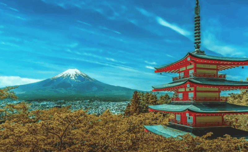 Mt. Fuji Day Trip in MERCEDES-BENZ (English Speaking Driver) - Frequently Asked Questions