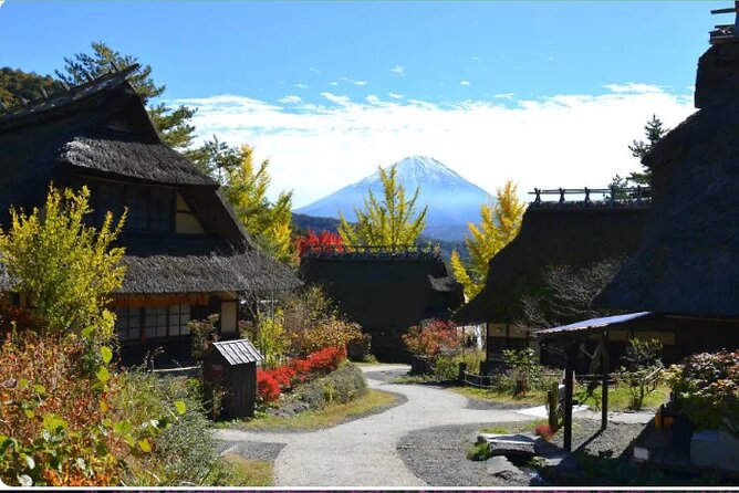 Mt FUJI Exclusive Tour With Private Car / English Speaking Guide - Customization and Personalization