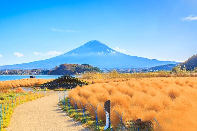 Mt Fuji Exploration Tour With Free Japanese Kusa Mochi From Tokyo - Seasonal Itineraries