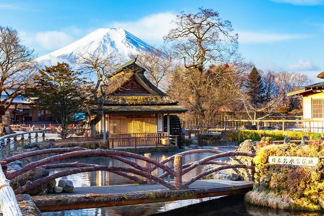 Mt Fuji Exploration Tour With Free Japanese Kusa Mochi From Tokyo - Cancellation and Reviews