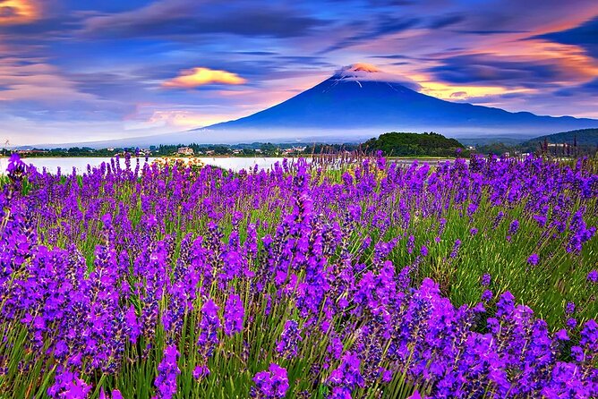 Mt Fuji Exploration Tour With Free Japanese Kusa Mochi From Tokyo - Savoring the Delectable Kusa Mochi