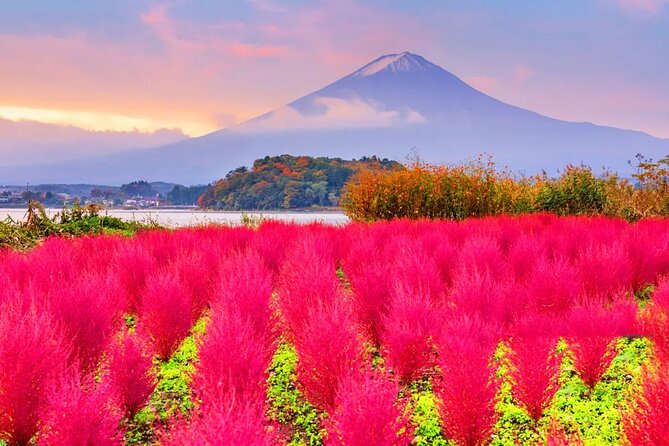 Mt Fuji Exploration Tour With Free Japanese Kusa Mochi From Tokyo - Common Questions