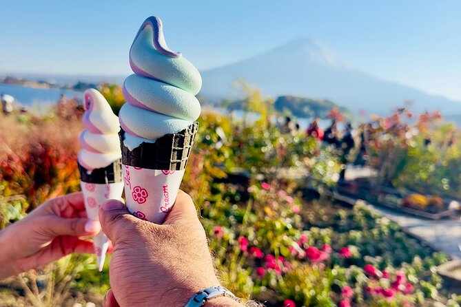Mt. Fuji & Hakone Cherry Blossom Private One Day Tour - Tour Overview