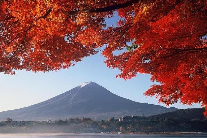 Mt Fuji & Hakone Cruise, Drum Show Bus 1 Day From Tokyo - Customer Feedback
