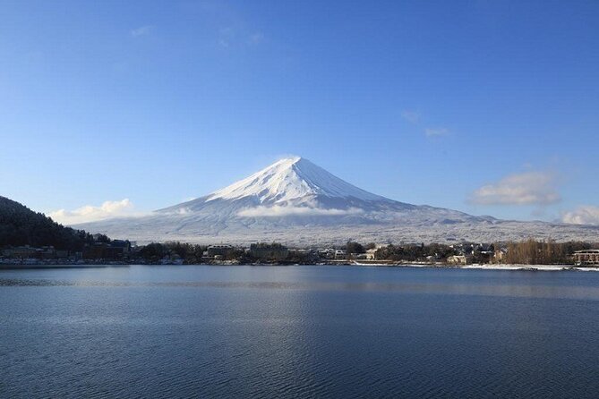 Mt Fuji & Hakone Cruise, Drum Show Bus 1 Day From Tokyo Sta. Area - Itinerary and Activities