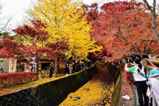 Mt. Fuji & Hakone Day Tour From Tokyo by Car With JP Local Guide - Health and Accessibility Information