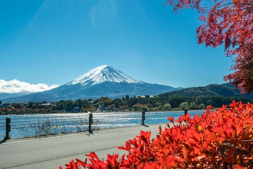 Mt.Fuji Hakone Day Tour With Lake Ashi Cruise, FREE Ropeway - The Sum Up: Is This Tour Worth It?