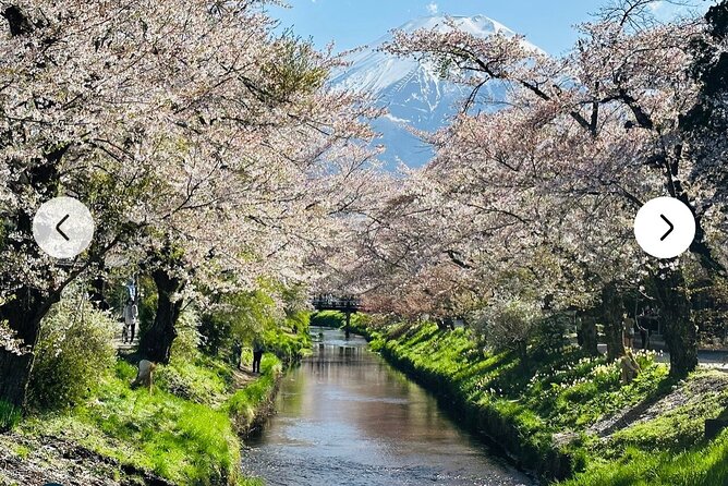 Mt. Fuji, Hakone Full-Day Private Tour With English Driver Guide - Tour Guide and Experience