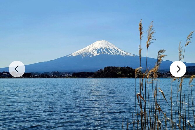 Mt. Fuji, Hakone Full-Day Private Tour With English Driver Guide - Itinerary Highlights
