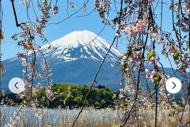 Mt. Fuji, Hakone Full-Day Private Tour With English Driver Guide - Benefits of a Private Tour