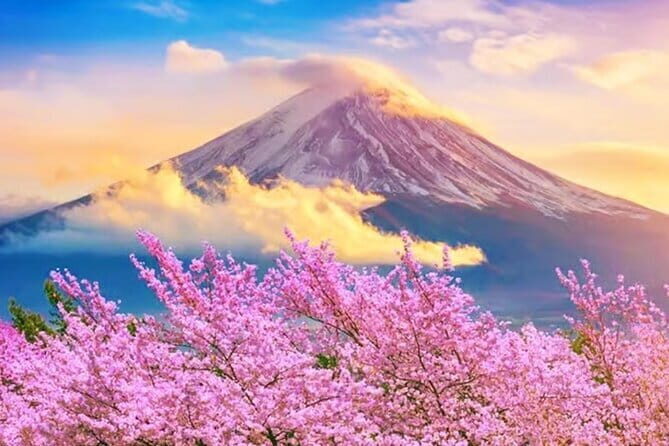 Mt. Fuji & Hakone Fully customizable Day Tour With English Driver - Key Points