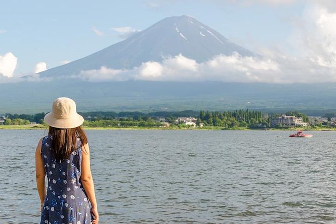 Mt Fuji & Hakone Private Day Tour W/ English Speaking Driver - Pricing and Booking