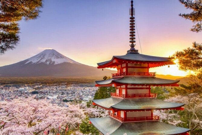 Mt Fuji & Hakone Private Day Tour W/ English Speaking Guide - Highlights of the Itinerary