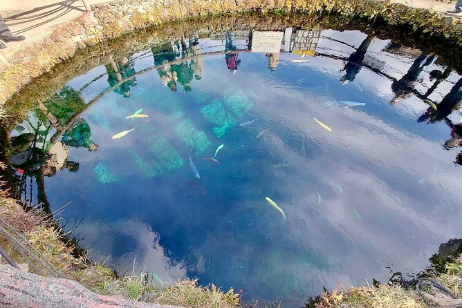 Mt Fuji & Hakone Private Day Tour W/ English Speaking Guide - Customization Options