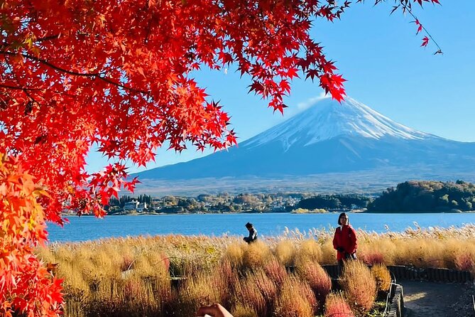 Mt Fuji & Hakone Private Day Tour W/ English Speaking Guide - Weather Policy and Reschedule/Refund