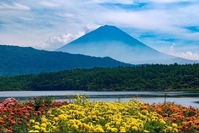 Mt Fuji & Hakone Private Day Tour W/ English Speaking Guide - Additional Information