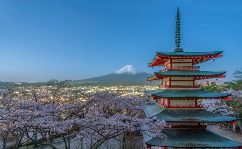 Mt. Fuji & Hakone: Private Day Trip - Customization and Guided Options