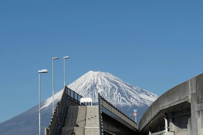 Mt Fuji, Hakone Private Tour by Car Pickup From Tokyo - Key Points