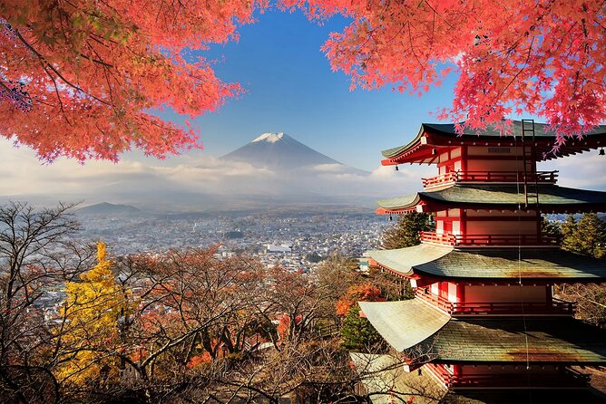 Mt Fuji, Hakone Private Tour by Car Pickup From Tokyo - Transportation Details