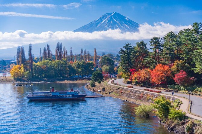 Mt Fuji, Hakone Private Tour by Car Pickup From Tokyo - Accessibility Features