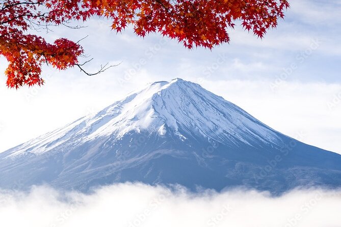 Mt Fuji, Hakone Private Tour by Car Pickup From Tokyo - Why Choose This Tour