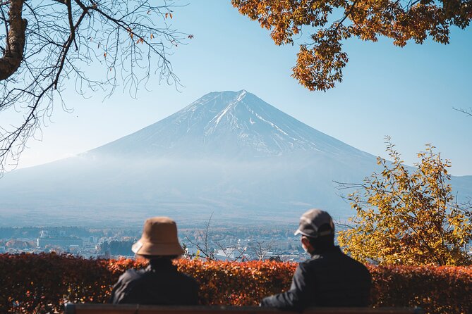 Mt Fuji, Hakone Private Tour by Car With Pickup - Pickup and Accessibility