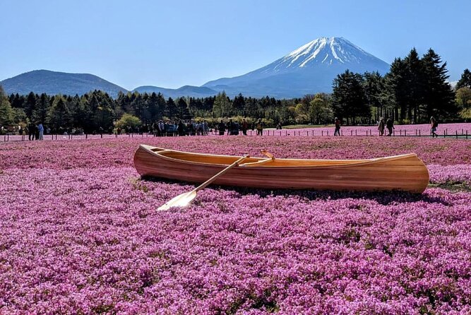 Mt Fuji, Hakone Private Tour by Car With Pickup - Customer Experiences