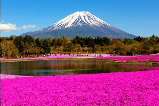Mt Fuji, Hakone Private Tour by Car With Pickup - Highlights of the Tour
