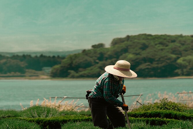 Mt Fuji, Hakone Private Tour by Car With Pickup - About Karvaan Tours