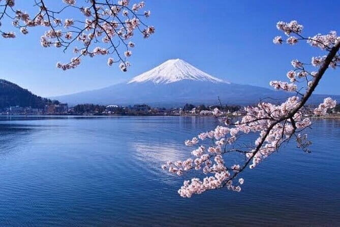 Mt Fuji & Hakone Private Tour from Tokyo & Yokohama - Exploring the Mt. Fuji & Hakone Private Tour from Tokyo & Yokohama