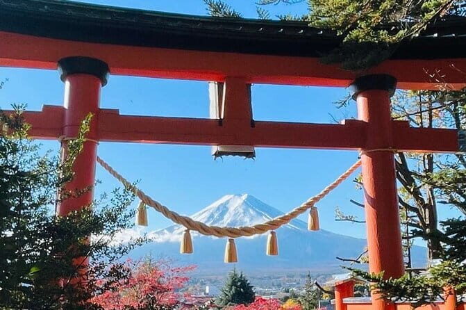 Mt Fuji & Hakone Private Tour from Tokyo & Yokohama - What to Expect from This Tour