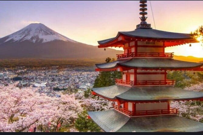 Mt Fuji & Hakone Private Tour from Tokyo & Yokohama - The Sum Up