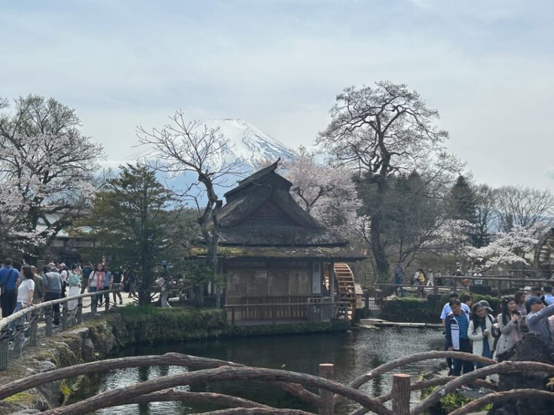 Mt. Fuji & Hakone Private Tour T/F Tokyo, Yokohama up to 12 - Key Points