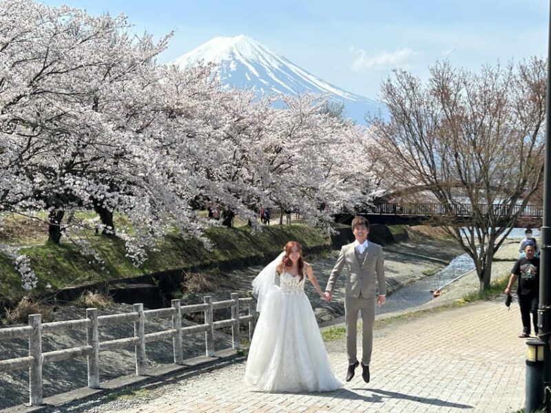 Mt. Fuji & Hakone Private Tour T/F Tokyo, Yokohama up to 12 - Flexible Itinerary Based on Group Interests