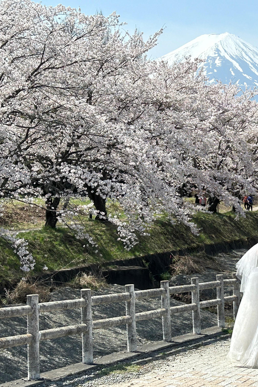 Mt. Fuji & Hakone Private Tour T/F Tokyo, Yokohama up to 12 - Scenic Views and Optional Activities