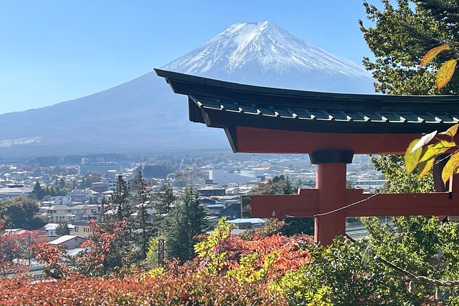 Mt.Fuji Hakone Private Tour With English Speaking Chauffeur - Cancellation and Confirmation