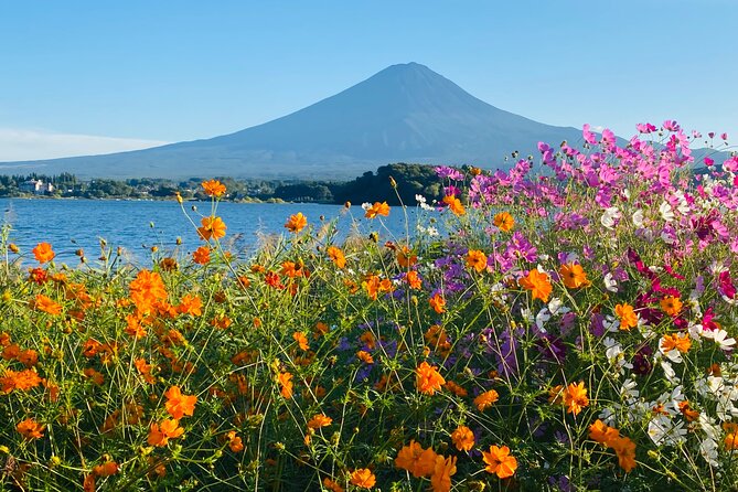 Mt.Fuji Hakone Private Tour With English Speaking Chauffeur - Positive Experiences