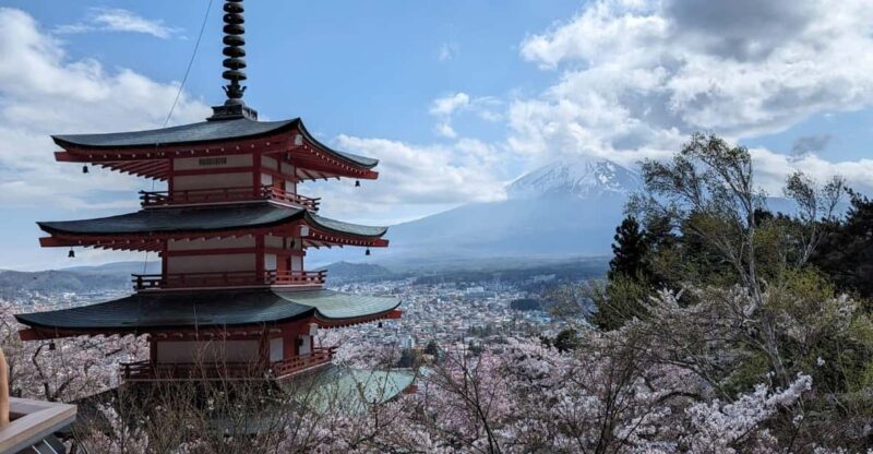 Mt Fuji & Hakone: Sightseeing Private Day Tour With Guide - Tour Inclusions