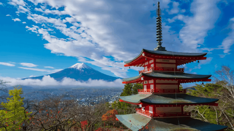 Mt Fuji & Hakone: Sightseeing Private Day Tour With Guide - Tour Experience and Features
