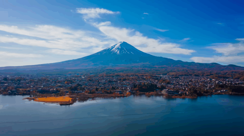 Mt Fuji & Hakone: Sightseeing Private Day Tour With Guide - Transportation and Logistics